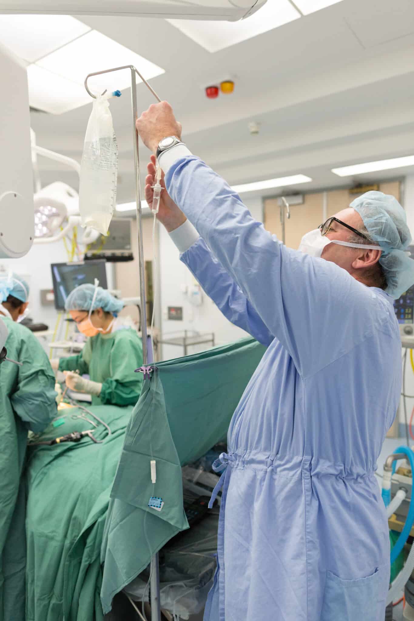 Structure and Governance - Australian Society of Anaesthetists